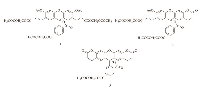 BCECF AM（pH荧光探针, 5mM）-pH指示剂-欲立生物-您身边的细胞培养专家